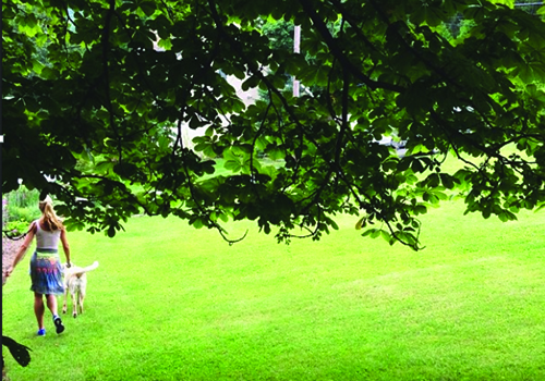 5 Perfect Ways To Relax For Free This Weekend