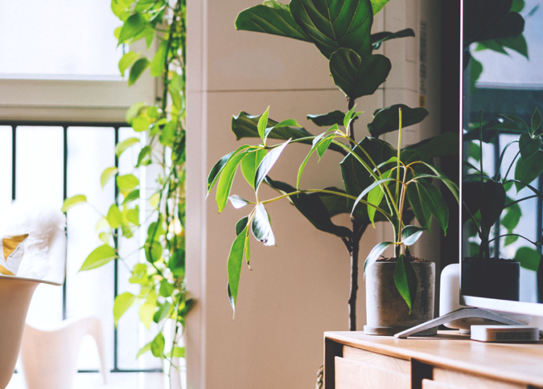 6 Ways To Actually Enjoy Life, Responsibly